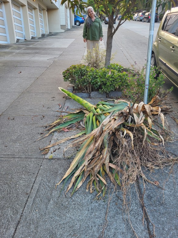“Safer Together”: Building Effective Block Safety Groups in Dolores ...